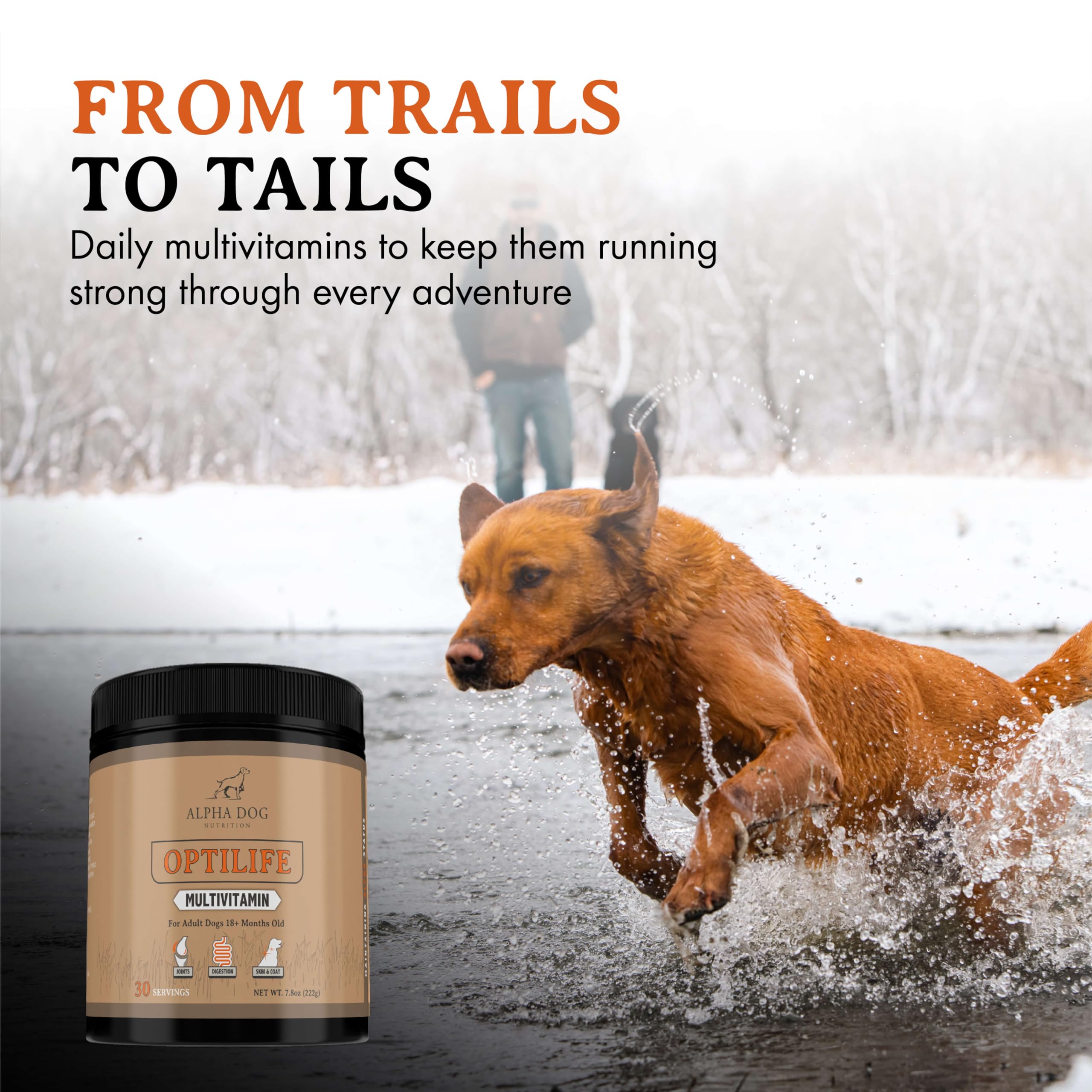 OptiLife Multivitamin for Adult Dogs - Contains Probiotics, Allergy Support, Joint Support, Muscle Recovery, and Skin & Coat Support - Powder Supplement (60 Servings)