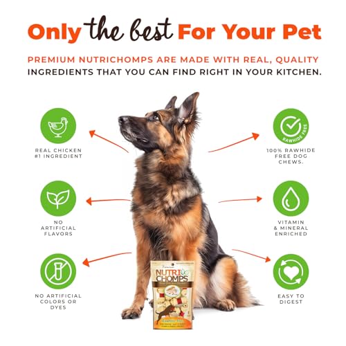 NutriChomps Dog Chews, 2.5-inch Knots, Easy to Digest, Long Lasting, Rawhide-Free Dog Treats, 8 Count, Real Chicken flavor