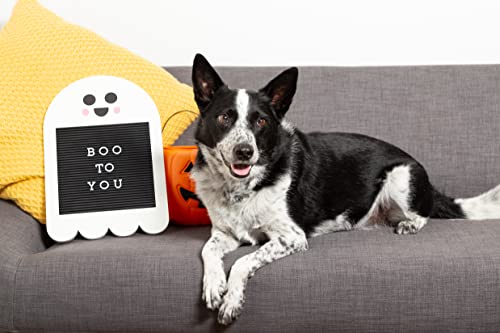Kate & Milo Ghost Letterboard Set, Spooky Halloween Décor, Halloween Photo Prop Sign, Reusable Message Board Sign for Fall, Ghost Wall Décor, Adorable Modern Fall Decor, 147 White Letters