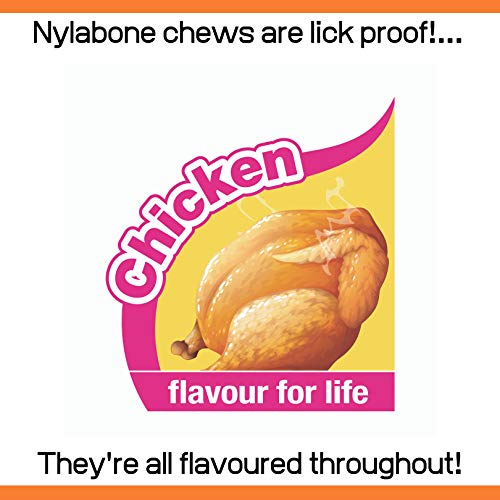 Nylabone Puppy Chew Gentle Chewing Puppy Antler Alternative Chicken Flavored Dog Chew Toy, Petite