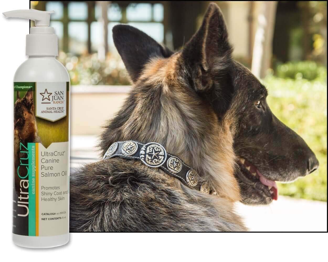 UltraCruz - sc-395126 Canine Pure Salmon Oil Supplement for Dogs, 8 oz