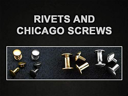 HALTER PLATE XLARGE THICK Notched Brass or Nickel Silver I.D. Plate .050" Thick Custom Engraved