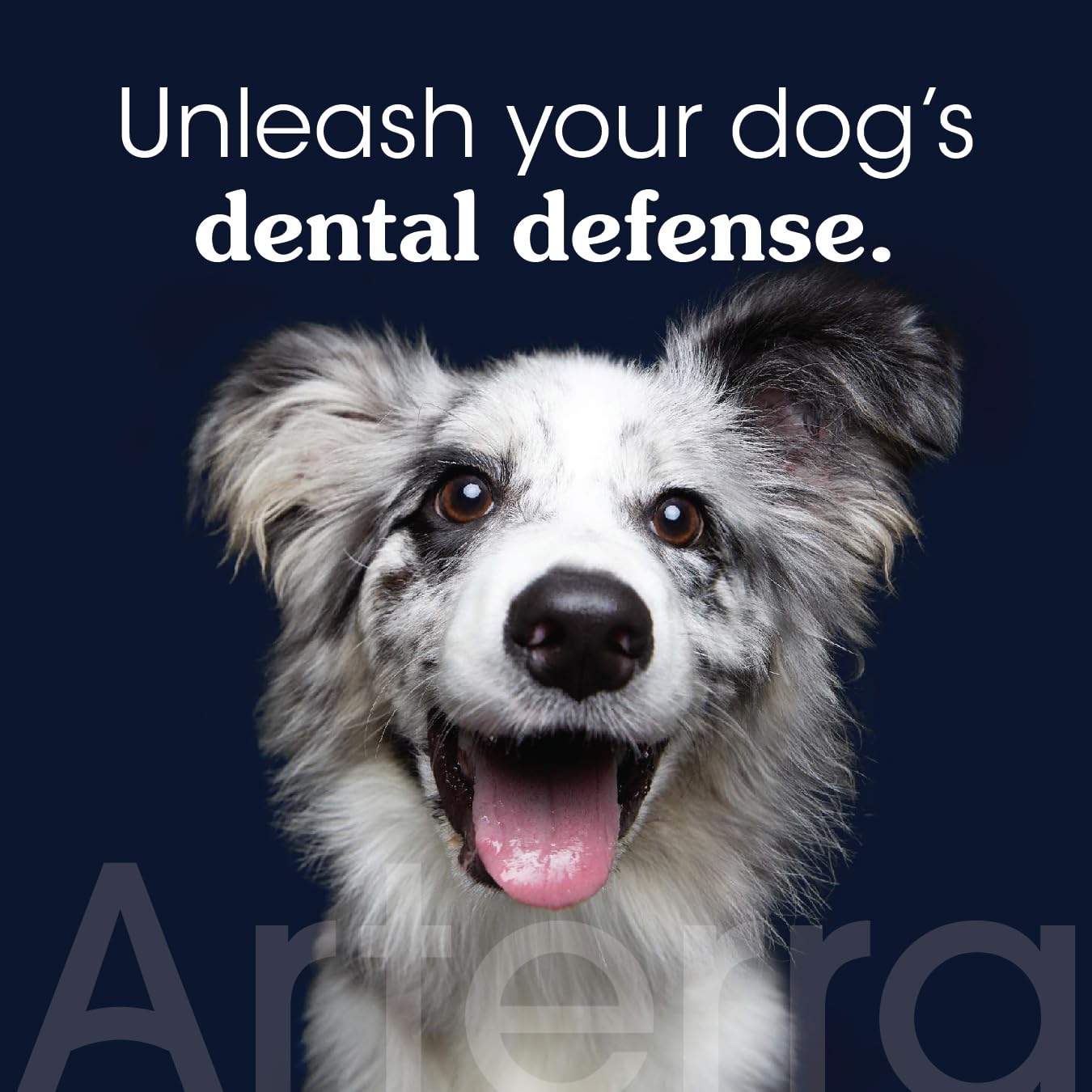 Remineralizing Dog Toothpaste β Vet-Grade, with Nano-Hydroxyapatite, Reverses Early-Stage Decay, Cleans Teeth, Reduces Tartar, Freshens Breath by Arterra Pet Science, Plant-Based, Natural Flavor, 4oz