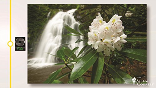 The National Geographic Guide to Landscape and Wildlife Photography