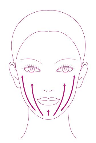 Fillerina Labo Facial Lifting Treatment Kit, Grade 2