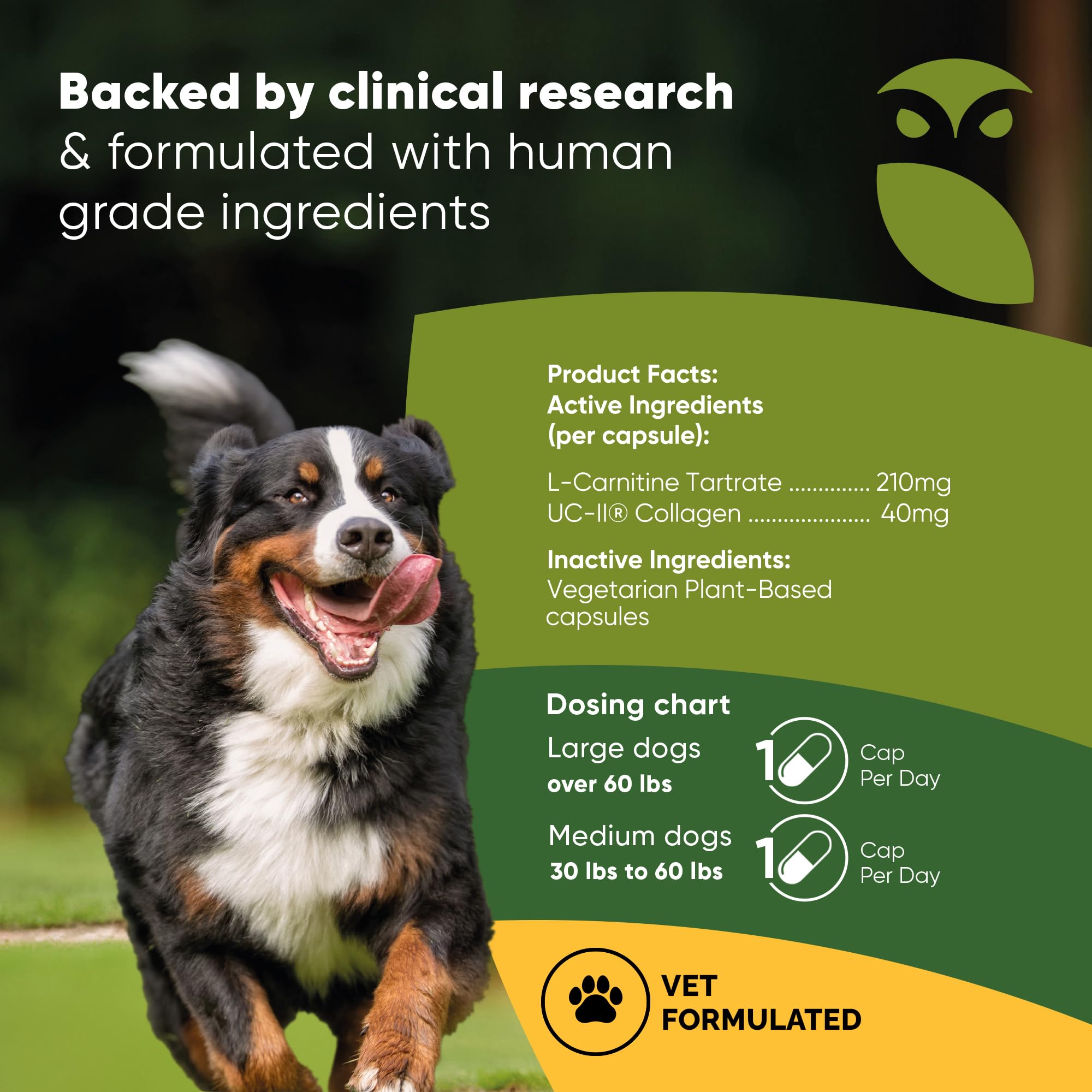 Rooted Owl Joint and Muscle Health - Hip and Joint Supplement for Dogs with UC-II Type II Collagen and L-Carnitine - Medium and Large Dog Joint Supplement - 30/ct