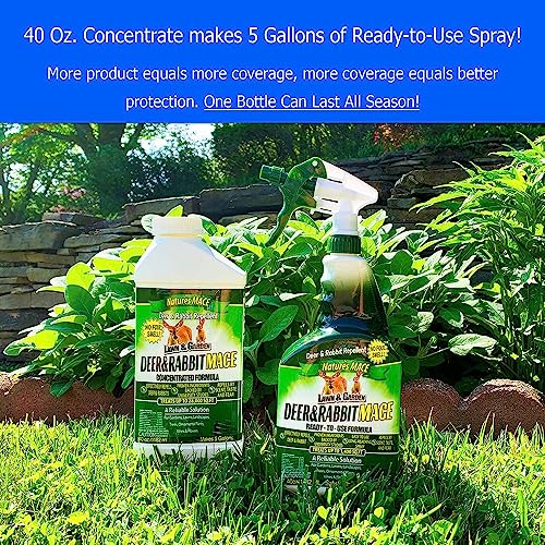 Nature's MACE Deer & Rabbit Repellent 40oz Spray/Covers 1,400 Sq. Ft. / Repel Deer from Your Home & Garden/Safe to use Around Children, Plants & Produce/Protect Your Garden Instantly