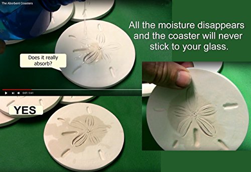 Mixed Shells Absorbent Drink Coaster set - Handmade by McCarter Coasters - 4.38 inch (4pc)