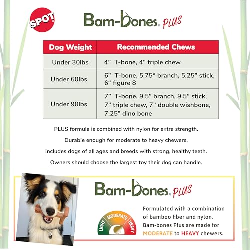 SPOT Bam-Bones Plus T Bone - Bamboo Fiber & Nylon, Durable Long Lasting Dog Chew for Aggressive Chewers – Great Toy for Adult Dogs & Teething Puppies Under 90lbs, Non-Splintering, 7in Chicken Flavor