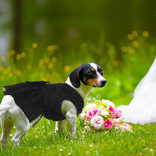 QBLEEV Dog Dress, Dog Wedding Dress for Small Dogs, Bowknot Dog Wedding Attire Black Dog Dress Pet Dog Bride Costume Lace Tutu Skirt Halloween Dog Princess Dress Party Puppy Apparel Dog Formal Dress S