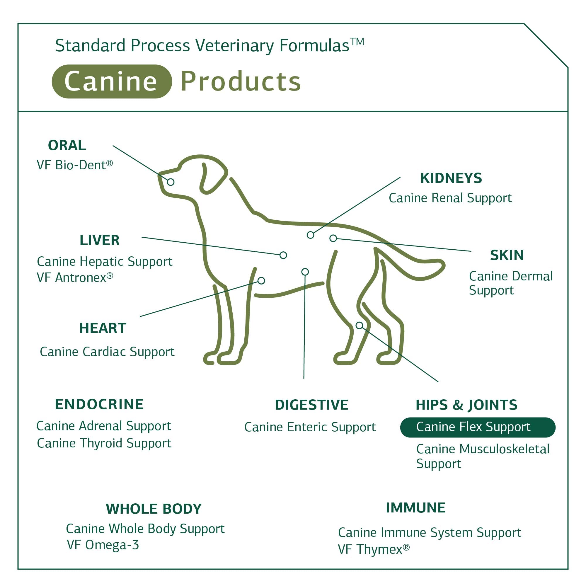 Standard Process Canine Flex Support - Joint & Immune Health Support Supplement for Dogs - Chewable Wafers for Healthy Joint Function Support - Nutritional Whole Food Supplement - 100 wafers