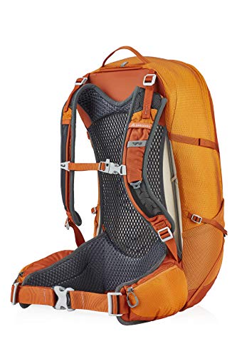 Gregory Mountain Products Women's Juno 36 Hiking Backpack