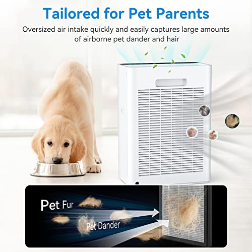 Tailulu H13 True HEPA Air Purifier Replacement Filter for HQZZ-260 Air Purifier, With 3-in-1 Filter for Large Room Filter Allergies Pollen Smoke Dust Pet Dander(1 Pack)