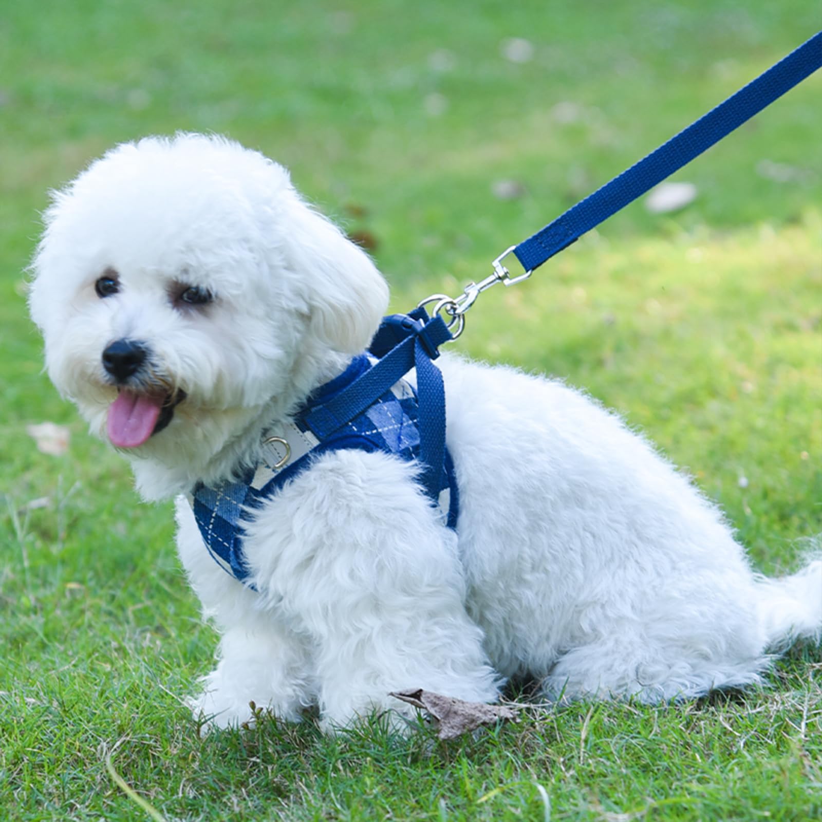 Serepet XS Dog Harness for Small Puppies, No Pull & Step in, No Choke & Escape Proof for Easy Walker with Leash Set, Red Checkered