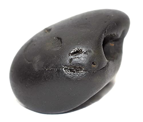 Rudrakshguru TriVikrama Shaligram - Gandaki River Nepal