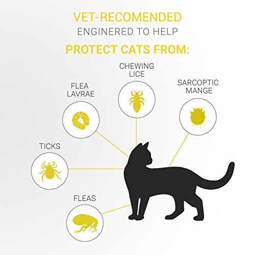 SOBAKEN Flea Collar for Cats, Flea and Tick Prevention for Cats, Natural Cat Flea Collar, One Size Fits All, 13 inch 8 Month Protection - 1 Pack