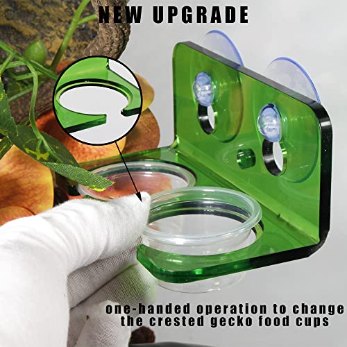 WOLEDOE Crested Gecko Feeding Ledge with 20 Pcs 0.5oz Bowls, Reptile Food Cups and Water Dish fit Chameleon Lguana Lizards