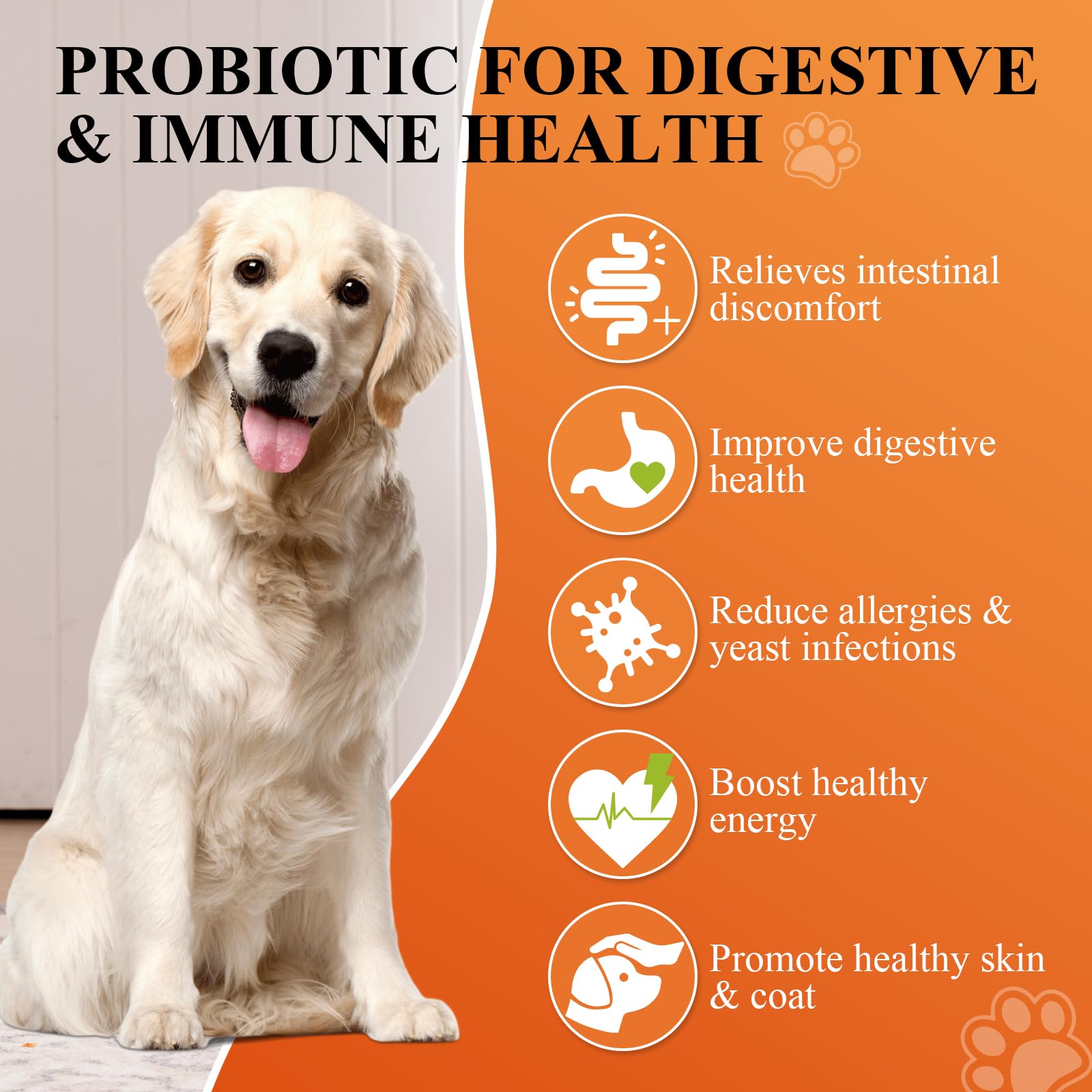 Probiotics for Dogs, Dog Probiotics for Immune & Digestive Health, Dog Probiotic Powder with Digestive Enzymes & Beef Liver, 120 Scoops