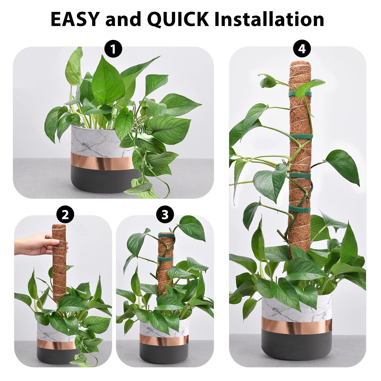 Moss Pole - 26.4 Inch Moss Pole for Plants Monstera, 2 Pack 15.7 Inches Coco Plant Pole for Climbing Indoor Potted Plants, Train Monstera Philodendron Pothos Creeper Plants Grow