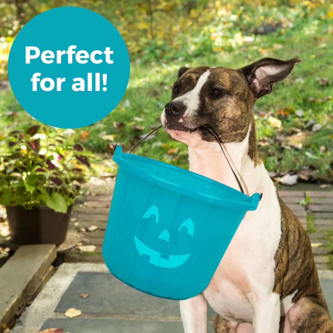 Teal Pumpkin Halloween Trick or Treat Bucket 8.5 in (2 Pack)-Official Teal Pumpkin Project Allergy-Friendly Candy Pail Accessory and Party Decoration Supplies, Haunted House Plastic Bowl w Handle