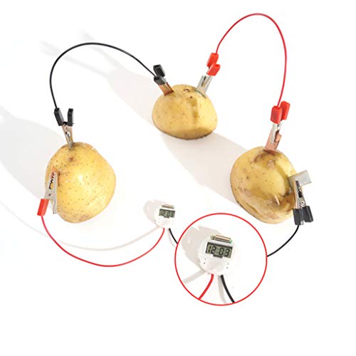 Skelang Fruit Battery Science Experiment Kit with Electronic Clock for DIY Home Teaching Toy , School Science Project, Education Subject