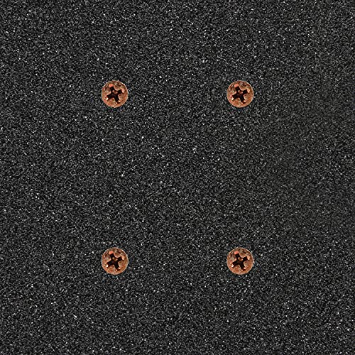 Skateboard Hardware 1" Phillips Copper Truck Mounting Nuts and Bolts by Dime Bag