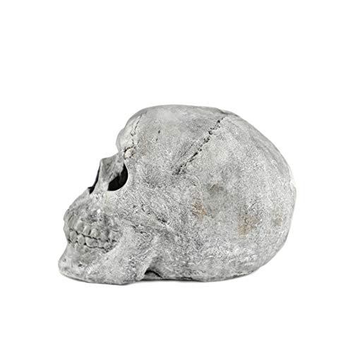 Myard Fireproof Imitated Human Fire Pit Skull Gas Log for NG, LP Wood Fireplace, Firepit, Campfire, Halloween Decor, BBQ (Qty 1, White - Mini, One Piece)