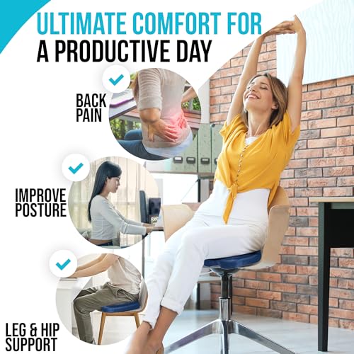 FORTEM Chair Cushion, Seat Cushion for Office Chair, Lumbar Support Pillow for Chair, Car Seat Cushion, Back Support Memory Foam Pillow Washable Cover (Blue, Mesh)