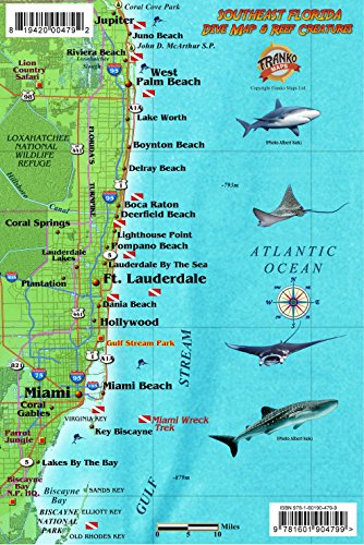 Southeast Florida Dive Map & Coral Reef Creatures Guide Franko Maps Laminated Fish Card