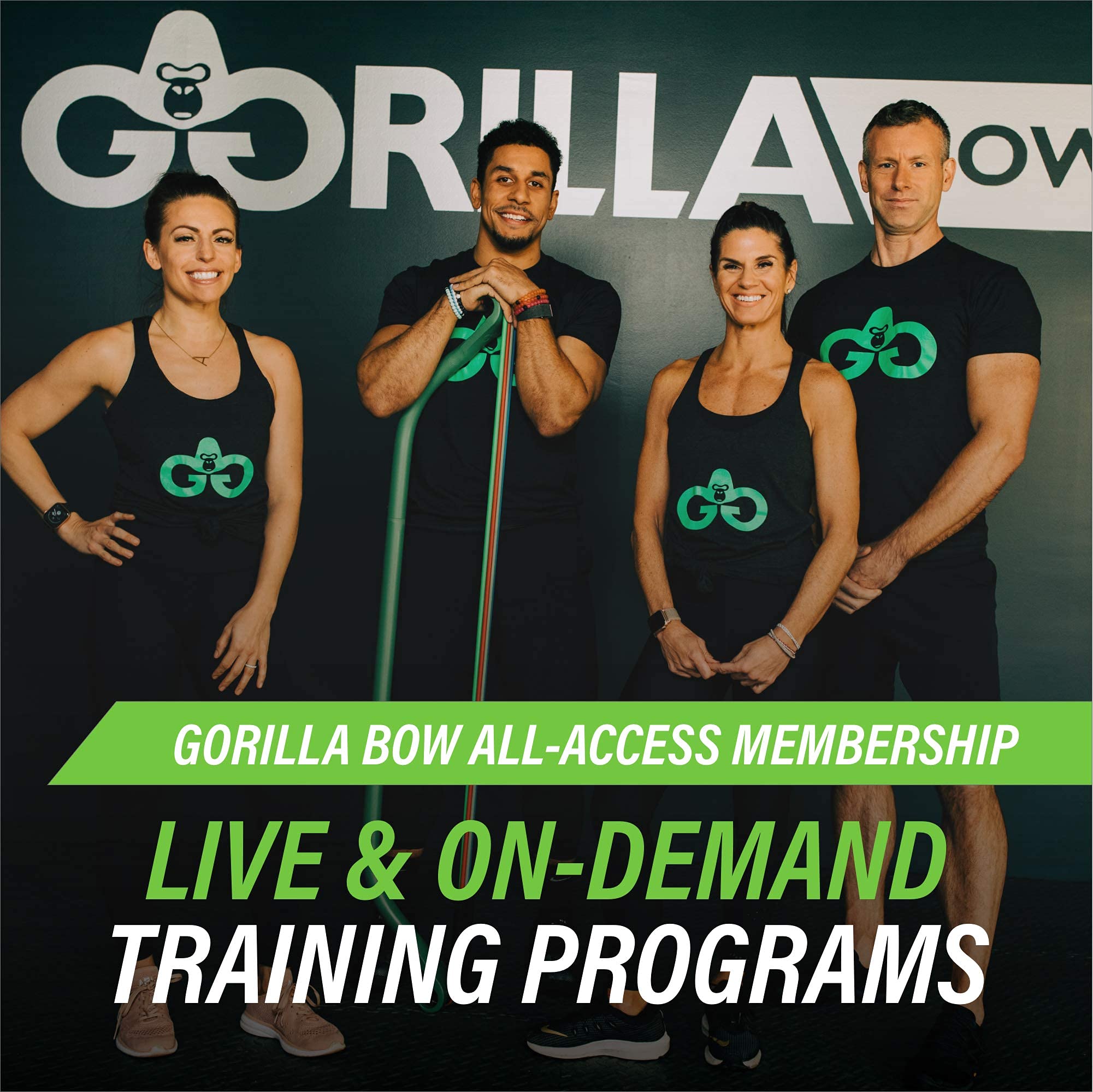 Gorilla Bow Portable Home Gym Resistance Bands and Bar System for Travel, Fitness, Weightlifting and Exercise Kit, Full Body Workout Equipment Set (Travel Bow, Black, Base Bundle)