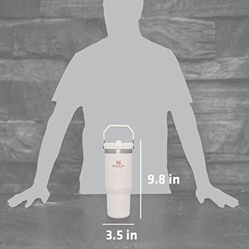 Stanley IceFlow Stainless Steel Tumbler with Straw - Vacuum Insulated Water Bottle for Home, Office or Car - Reusable Cup with Straw Leakproof Flip - Cold for 12 Hrs or Iced for 2 Days