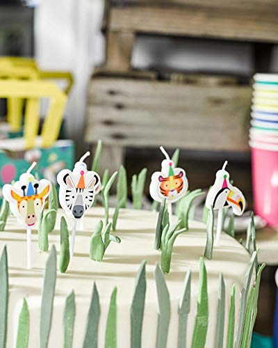 Talking Tables Party Safari Jungle Zoo Animal Birthday Cake Candles, Pack of 5, Wax Height 3cm, 1", Mixed Colors