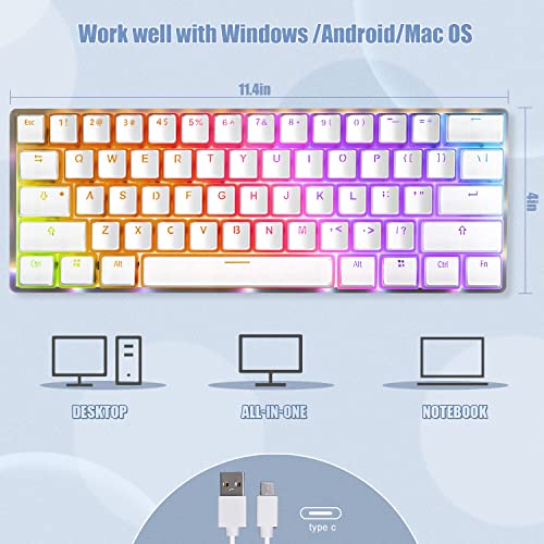 MIHIYIRY US Layout 60% Hot Swappable Mechanical Keyboard, RGB Backlit 61 Anti-ghosting Keys USB Wired Computer Keyboard Quick-Response Ergonomic Keyboard Suitable for Office and Games(Red Switch)