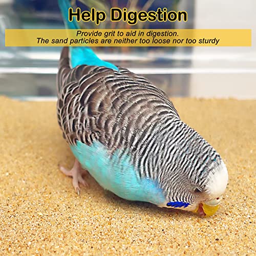 S&X Gravel Paper for Bird Cage 12-Pack 16β x 10β Gravel Liner Paper Sand Sheets Bird Cage Liners