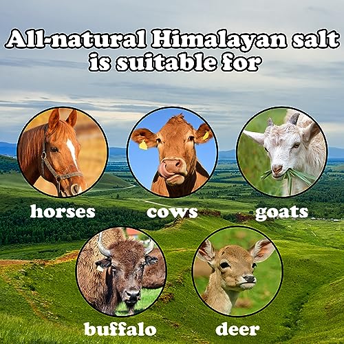 MUYG Himalayan Salt Lick Natural Minerals Block on Rope for Horses,Cattles,Deer,Goat and Other Livestock Long Lasting Original Pink Salt Lick (2.4-3.3 lbs)