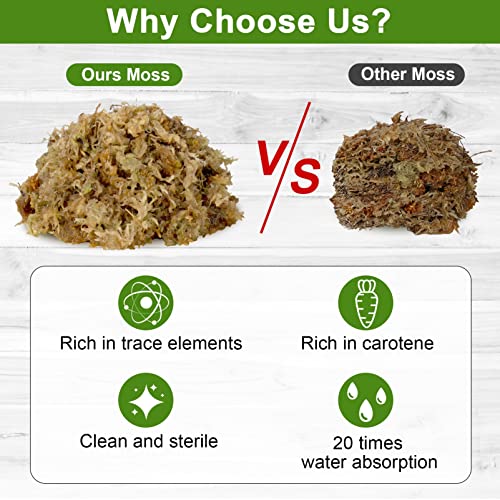 Stingmon 25QT Sphagnum Moss for Plants, Orchid Moss for Potted Plants Peat Moss, Dried Sphagnum Moss for Orchids Reptiles Potting Mix Soil Ochid Soil (7oz 200g)
