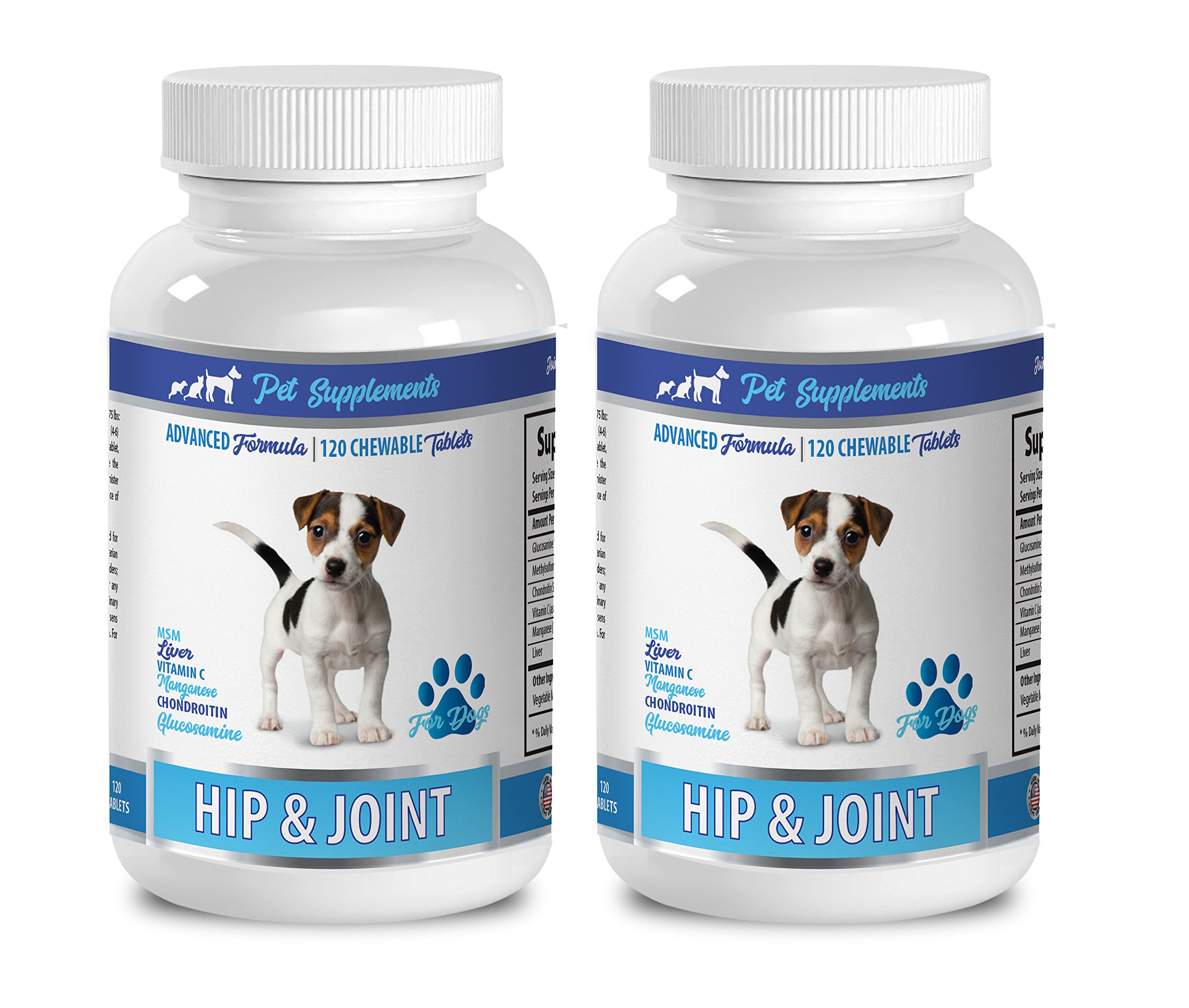 Pet Supplements Joint Chews for Dogs - Hip & Joint Support - for Dogs - Chewable - msm for Pets - 2 Bottle (240 Chewable Tablets)