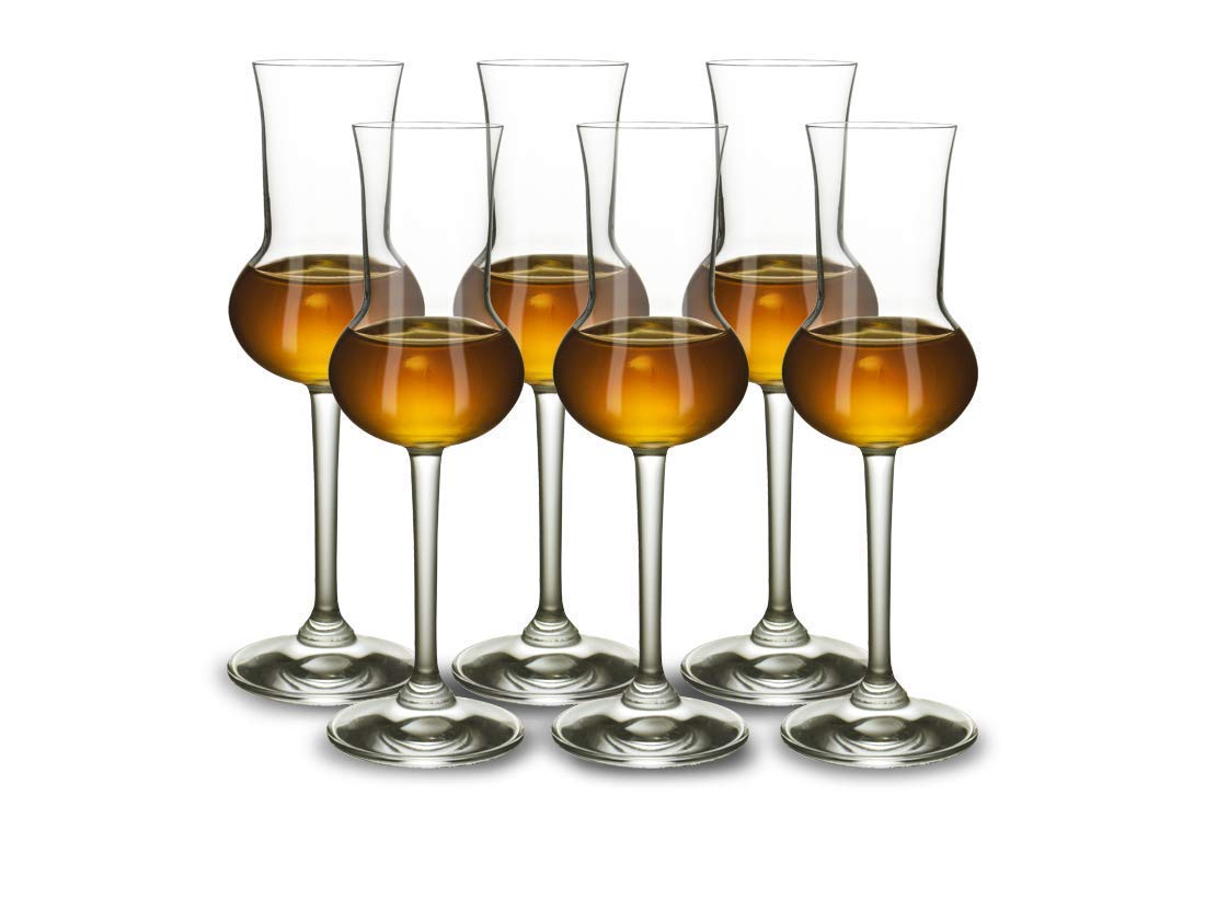 Grappa Glasses Stölzle Lausitz, set of 6, 87 ml, hand-blown appearance, dishwasher-safe, premium quality