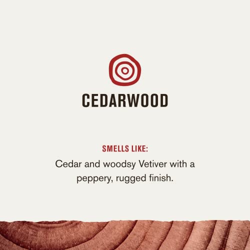 Every Man Jack Cedarwood Body Gift Set - Bath & Body Routine with Woodsy Cedarwood Scent - Body Wash, 2-in-1 Shampoo, Deodorant & Face Wash