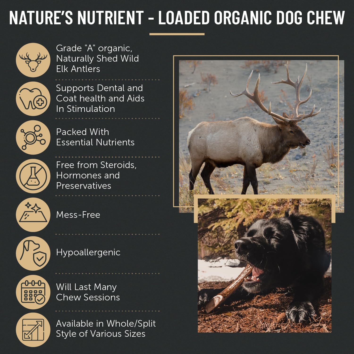 The Antler Box Premium Elk Antler Dog Chews (1 Piece Box) (Split, X-Large (6-8Oz)