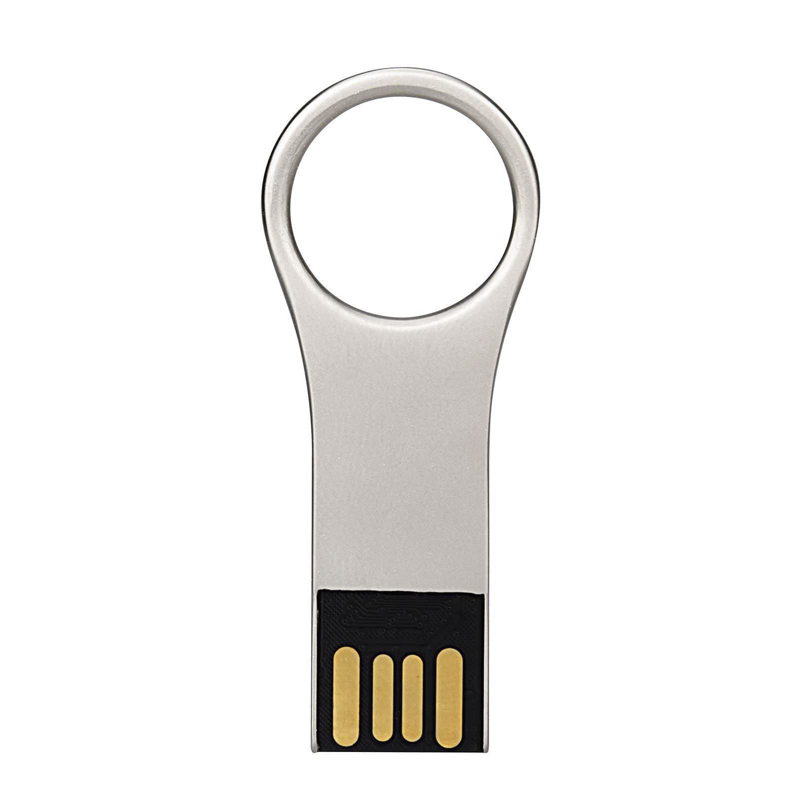 RAOYI Custom Logo 100 Pcs 2GB Key USB Flash Drive USB 2.0 Memory Stick Bulk Thumb Drive Pen Drive Jump Drive-Silver