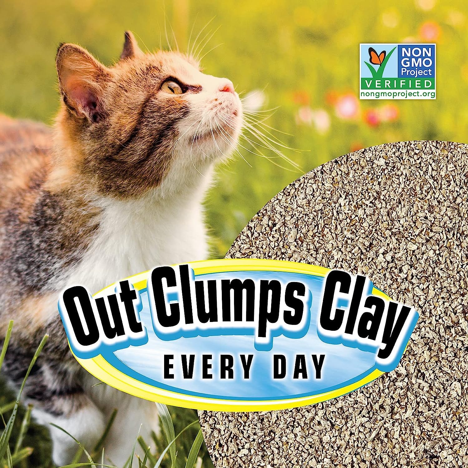 SmartCat All Natural Clumping Cat Litter, 10 Pound (160oz 1 Pack) - Alternative to Clay and Pellet Litter - Chemical and 99% Dust Free - Unscented and Lightweight