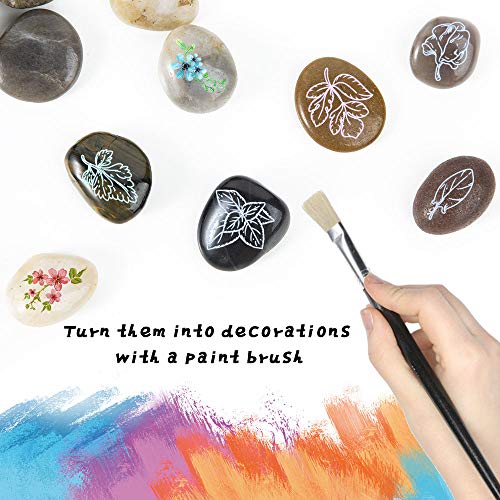 OUPENG Pebbles Polished Gravel, Natural Polished Mixed Color Stones, Small Decorative River Rock Stones 5 Pounds (80-Oz)