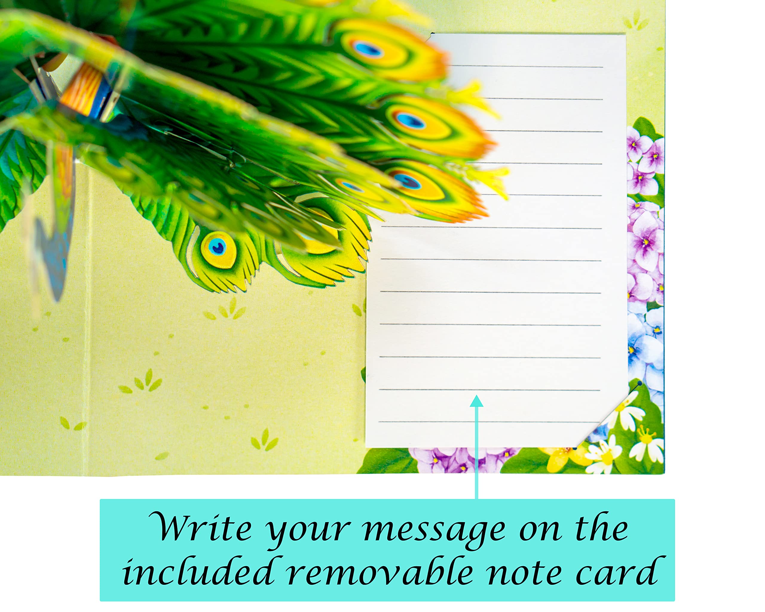 WOWPAPERART Peacock - 3D Pop Up Greeting Card For All Occasions - Love, Birthday, Christmas - Message Note for Personalized - Thick Envelope - 5x7 In