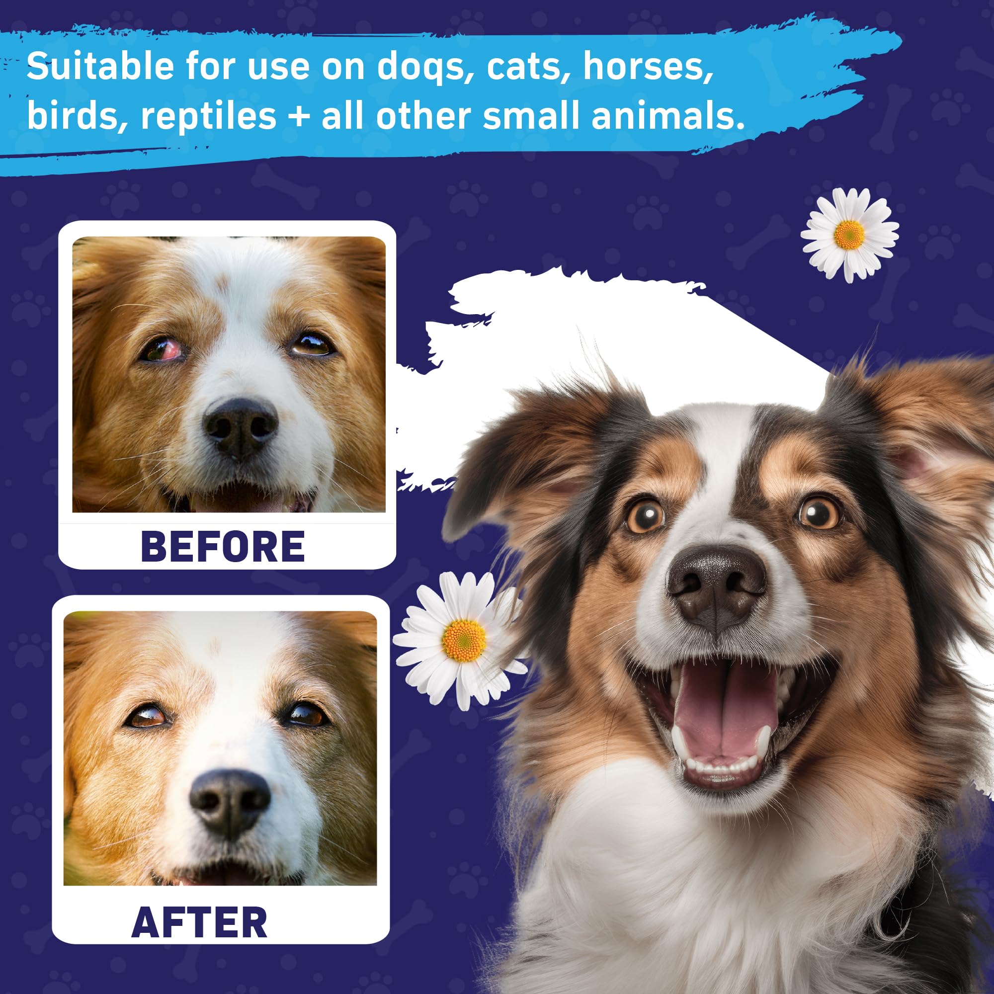 Spanielbuns Dog Eye Drops 200ml,All Natural Ingredients Eye Wash for Dogs and Cats, Cleanses Tear Stains, Mucus, Improves Allergy Symptoms and Dry Eyes(2pack)