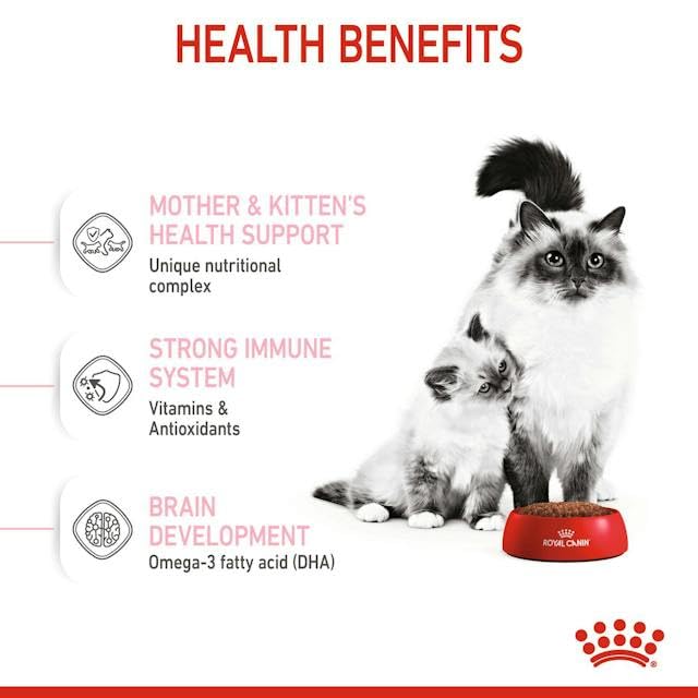 Feline Hn Mother&babycat34 400