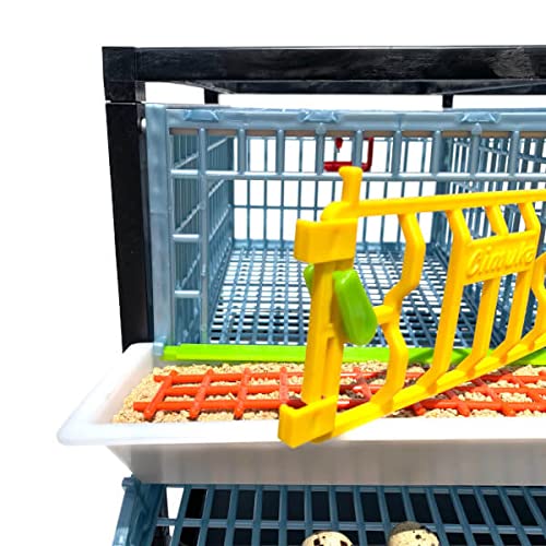 Quail Cage - 5 Layer (Power-Washable, Durable, ABS Plastic) | Hatching Time