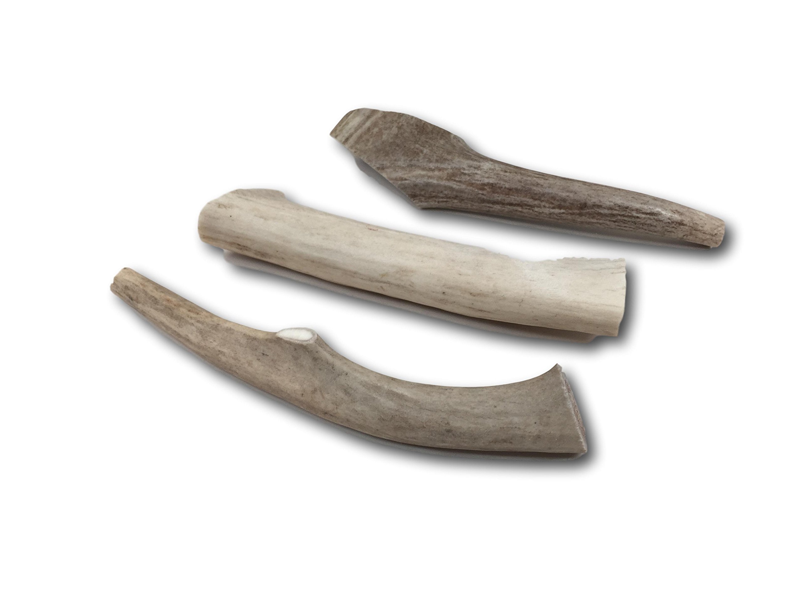 Top Dog Chews Brand | 3 Pack | A Grade | Deer and Elk Antler Dog Chews Medium 4"-6". Perfect for Small and Medium Dogs
