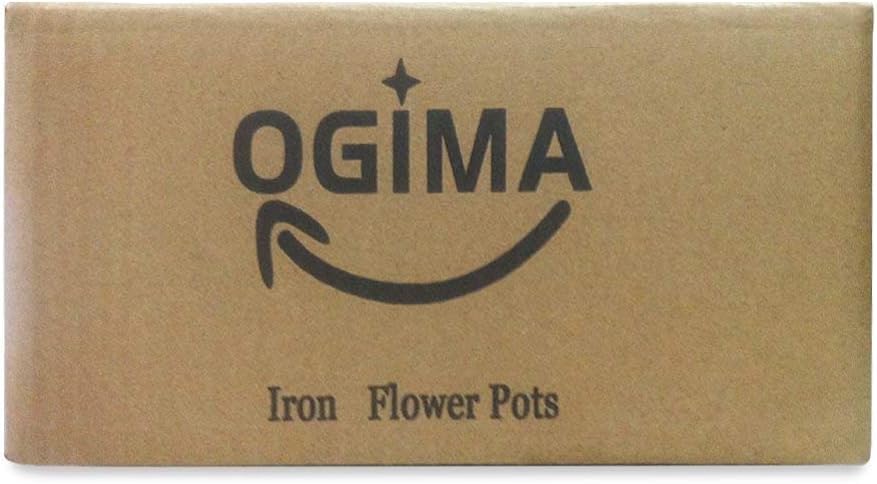 OGIMA 10 Piece Metal Iron Hanging Flower Pots,Multicolor