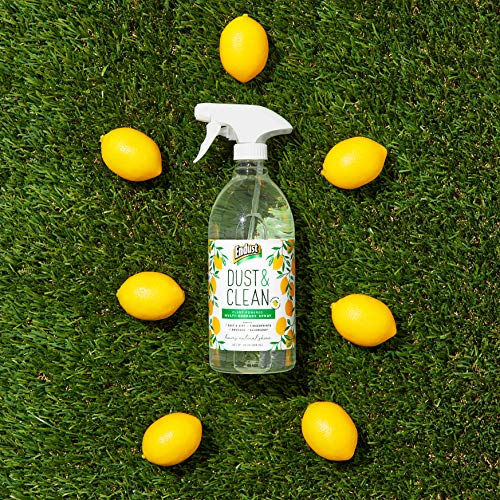 Endust Plant-based Multi-surface Dusting & Cleaning Spray, 24 Fl Oz (Pack of 2)